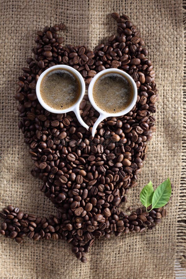 Owl coffee stock image. Image of addicted, caffeine, brown - 75880529