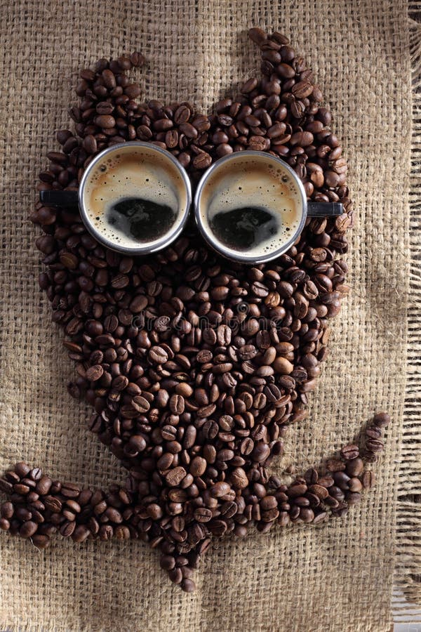 Owl coffee stock photo. Image of shape, unsleepy, coffee - 84540238