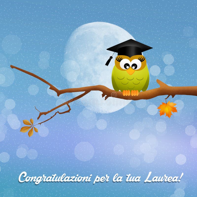 Owl graduate on branches stock illustration. Illustration of ...