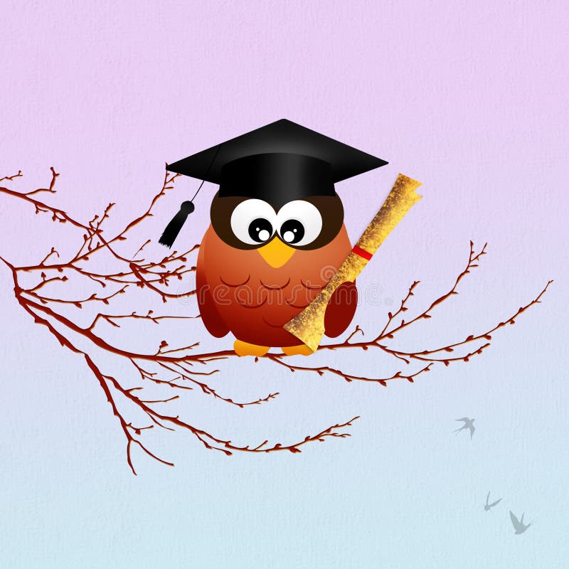 Owl graduate stock illustration. Illustration of success - 38918148