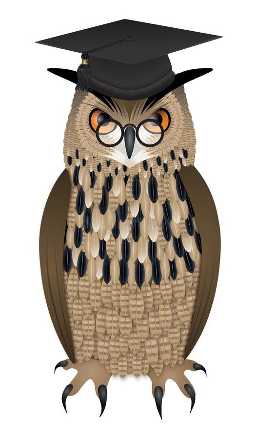 Owl with Graduation Cap and Glasses Stock Vector - Illustration of ...