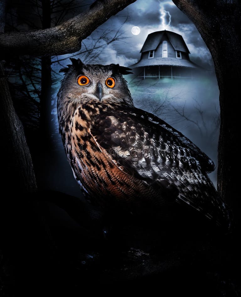 Owl Haunted House Stock Photos - Free & Royalty-Free Stock Photos from ...
