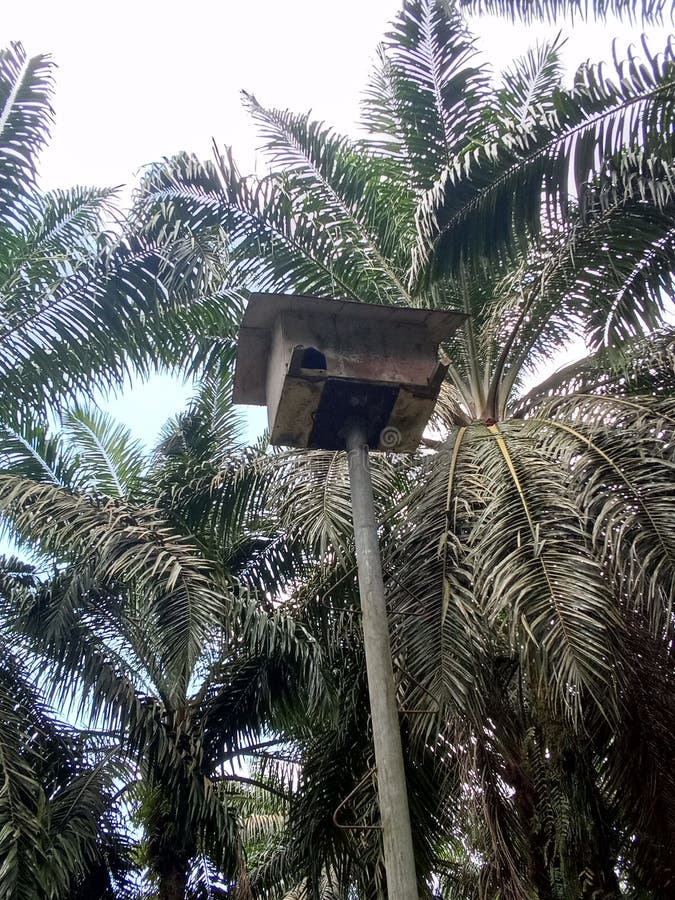 Gupon Stock Photos - Free & Royalty-Free Stock Photos from Dreamstime