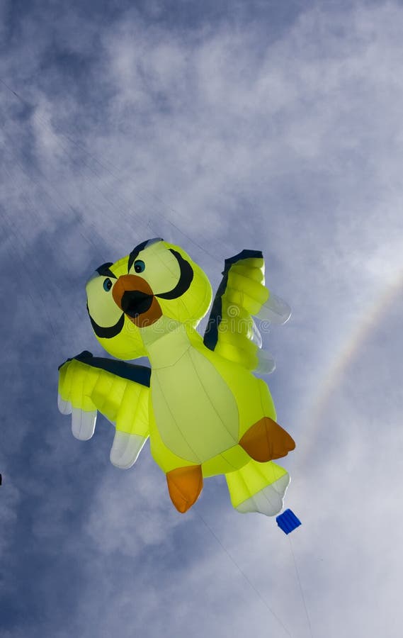 Owl kite stock image. Image of flying, wind, brighton - 5390781
