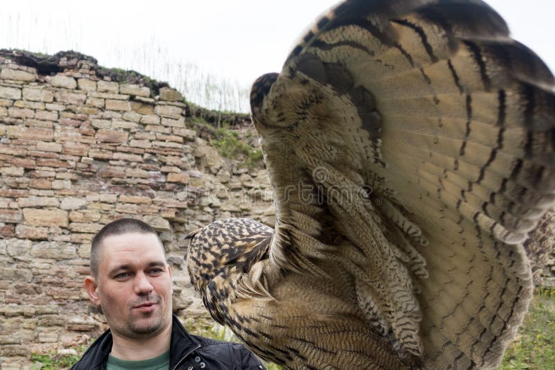 The owl looks at the man stock image. Image of smiling - 111241439