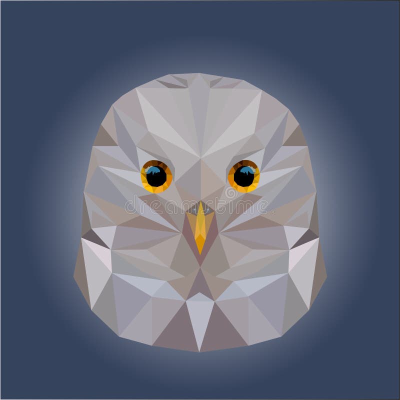 Owl. Low Poly stock vector. Illustration of bird, face - 205769747