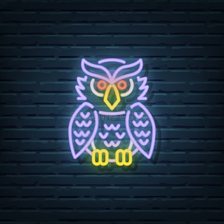 Owl Neon Sign stock vector. Illustration of banner, party - 227376373