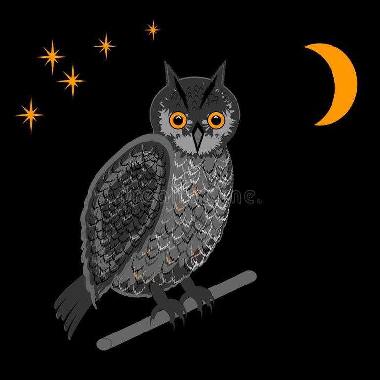 An owl in the nighttime stock vector. Illustration of bird - 34597239