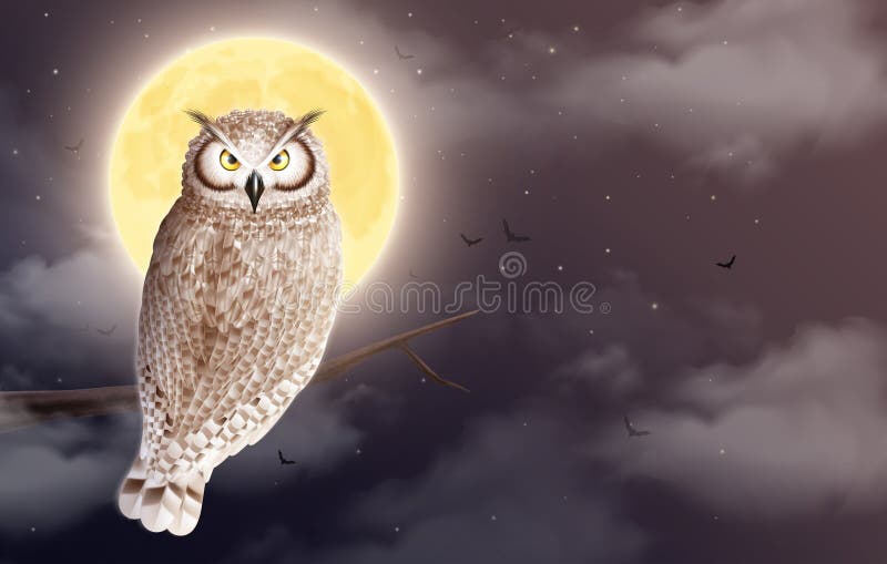 Owl Realistic Night Composition with Nocturnal Scenery and Bird Sitting ...