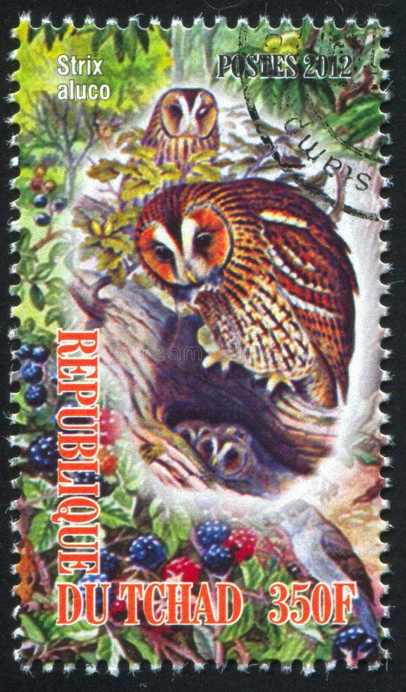 Owl stamp editorial photo. Image of postage, greenery - 334216906