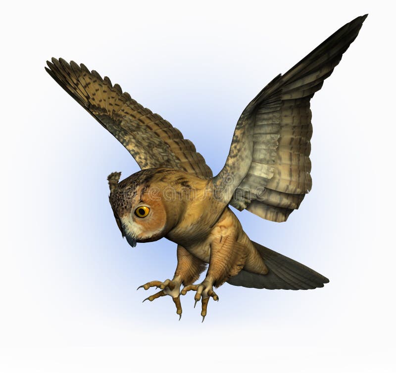 Owl Swooping Down 2 - Includes Clipping Path Stock Illustration ...