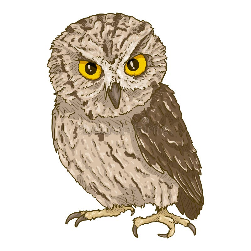 Owl Vector Cartoon Illustration on White Background Stock Vector ...