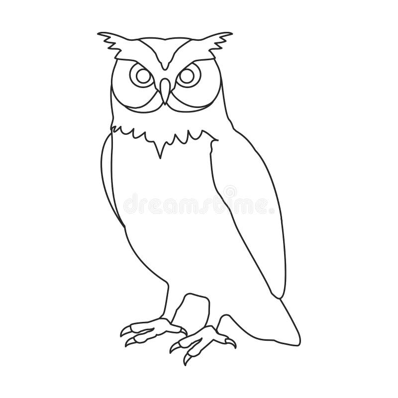 Owl Realistic Outline Stock Illustrations – 205 Owl Realistic Outline ...