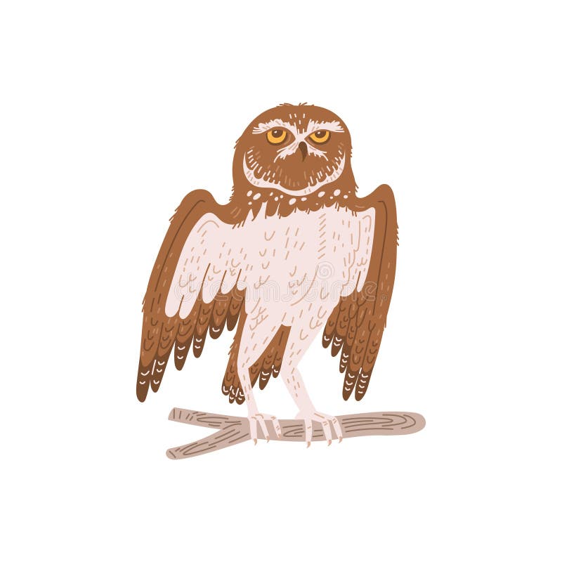 Owl Wild Bird and Symbol of Wisdom and Knowledge, Vector Illustration ...