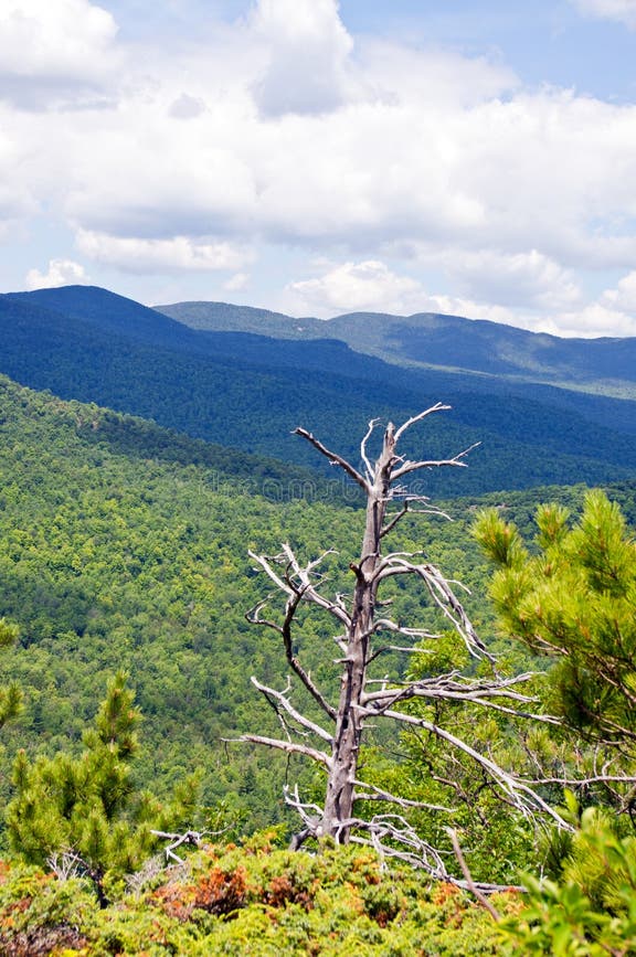 Owls Head Mountain stock photo. Image of view, owls, head - 25864308