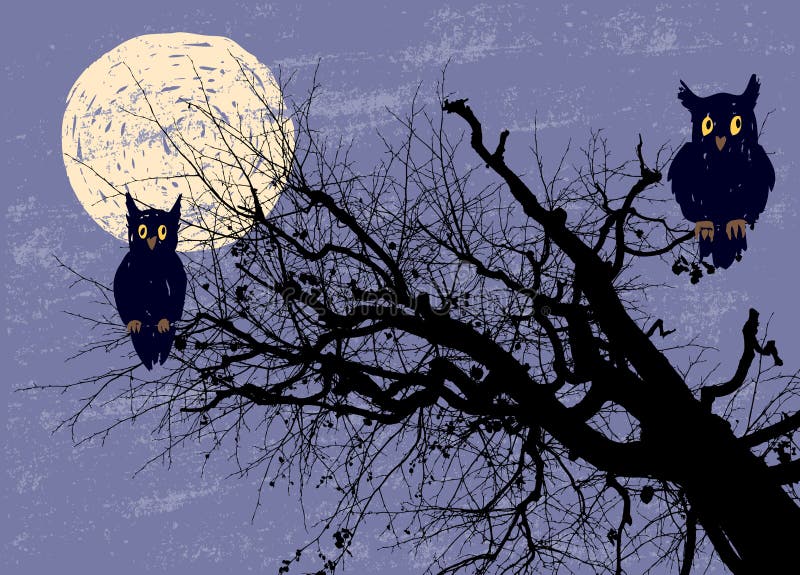 Owls in moonlight stock vector. Illustration of cute - 18479676