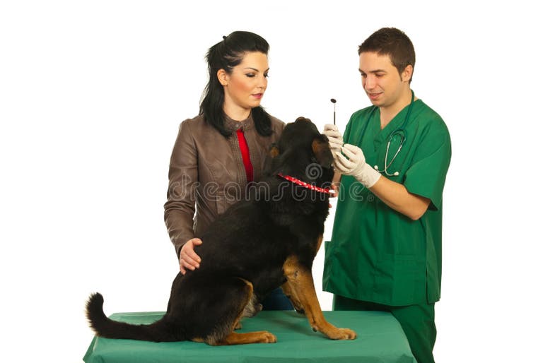 1,093 Dentist Black Women Stock Photos - Free & Royalty-Free Stock ...