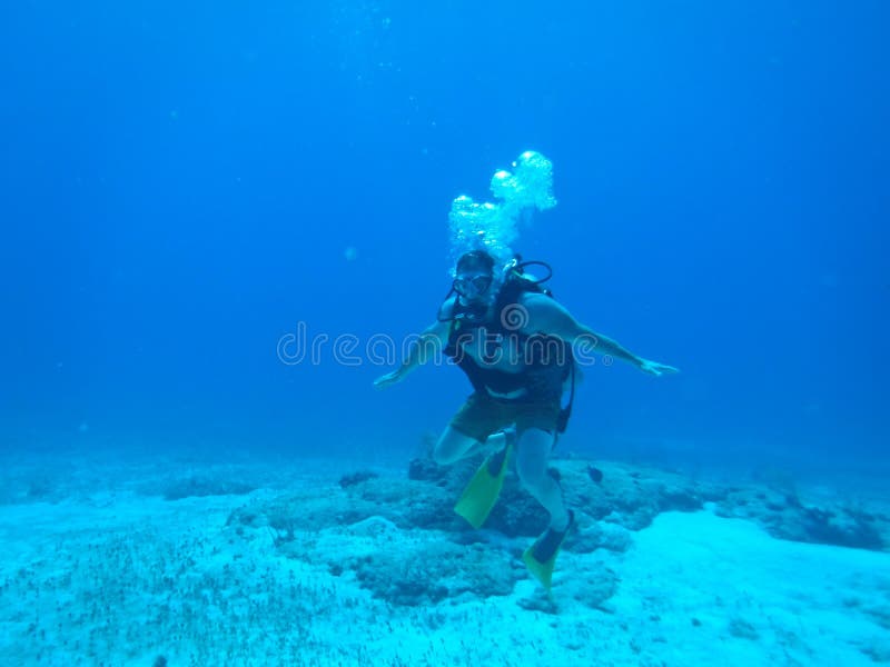 Scuba Diver on the Sea Floor in the Caribbean Editorial Photography ...
