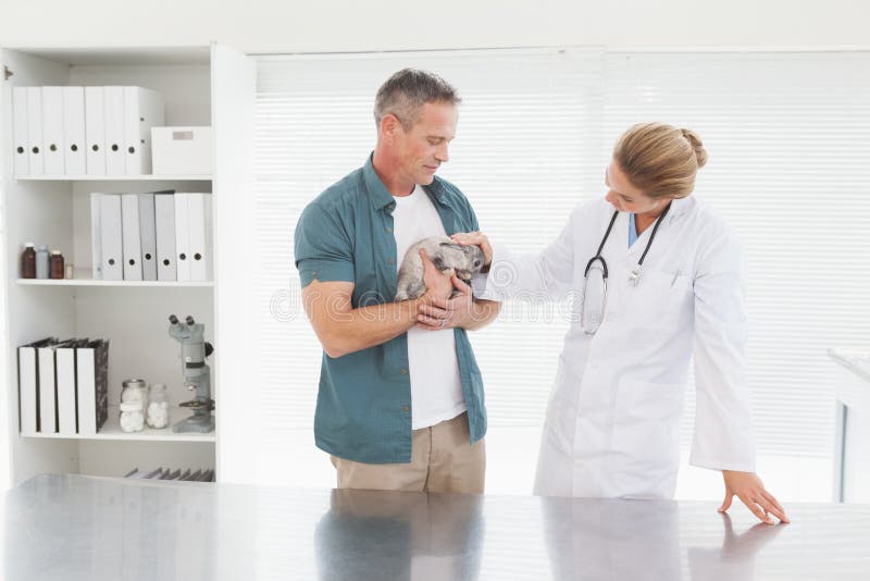 Owner Holding Rabbit with Vet Stock Image - Image of light, caucasian ...