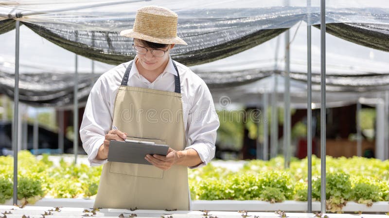 Owner of the Hydroponics Vegetable Garden is Checking the Quality of ...