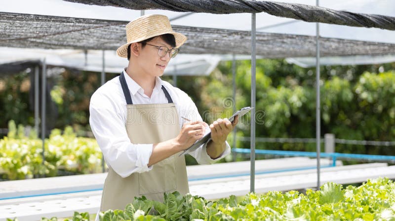 Owner of the Hydroponics Vegetable Garden is Checking the Quality of ...
