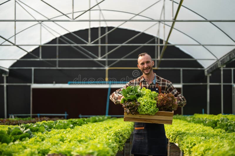 Owner of the Hydroponics Vegetable Garden is Checking the Quality of ...