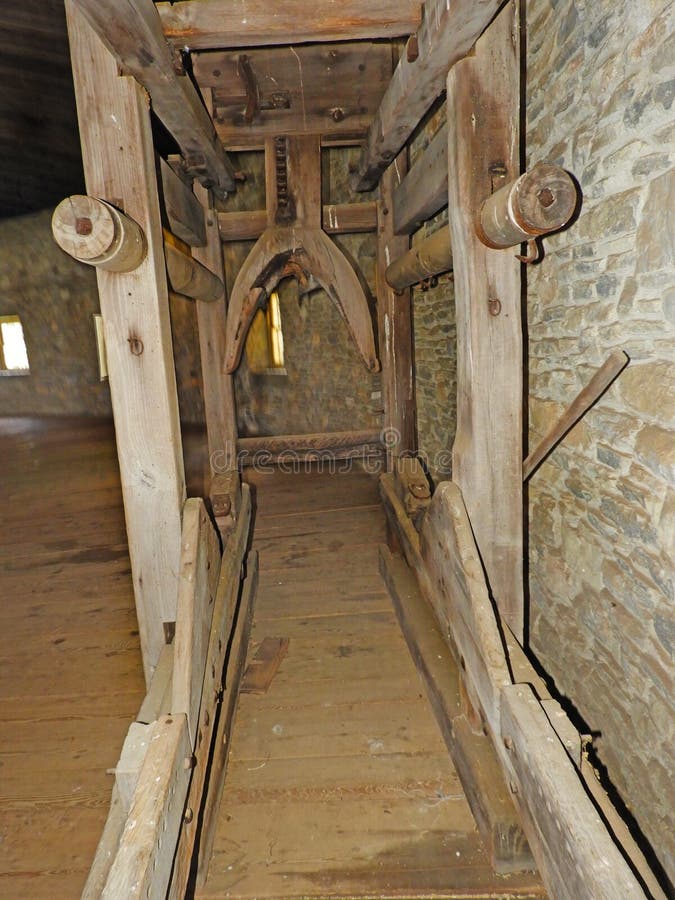 Shaker Ox Shoeing Blacksmith Sling Stock Image - Image of bovine ...