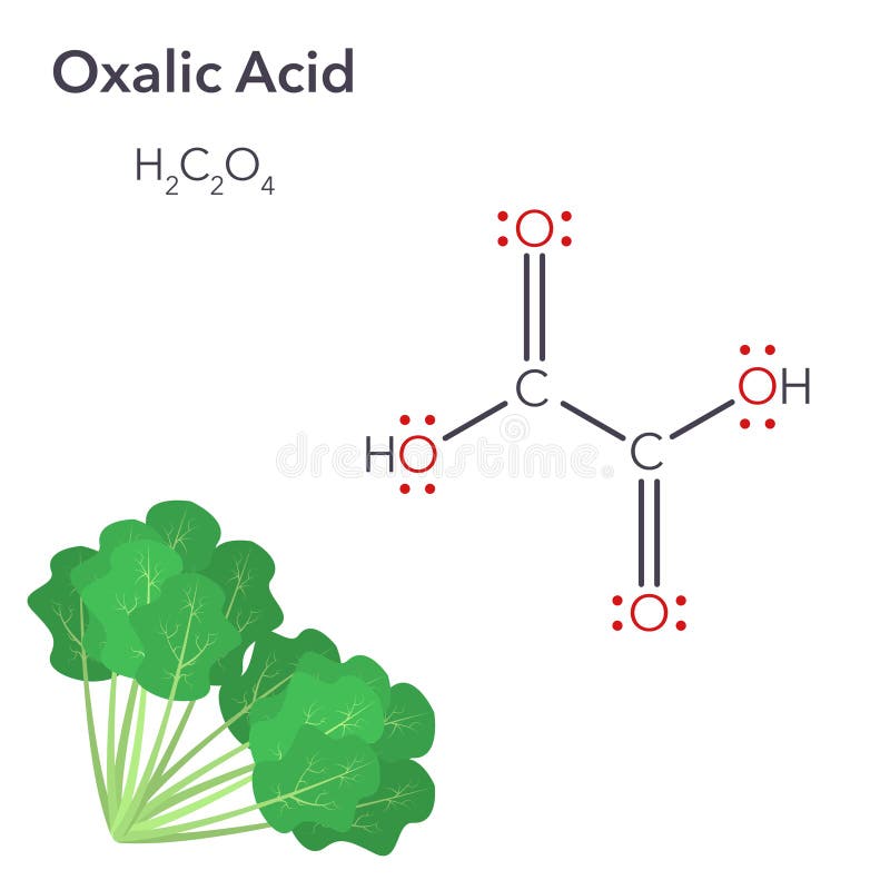 Oxalic Acid Stock Illustrations – 67 Oxalic Acid Stock Illustrations ...