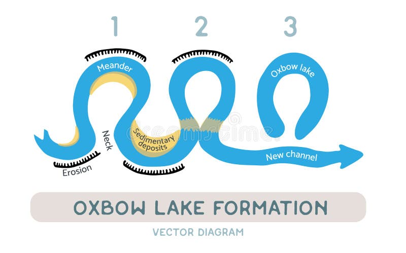 Oxbow Lake Formation, Vector Diagram Stock Vector - Illustration of ...