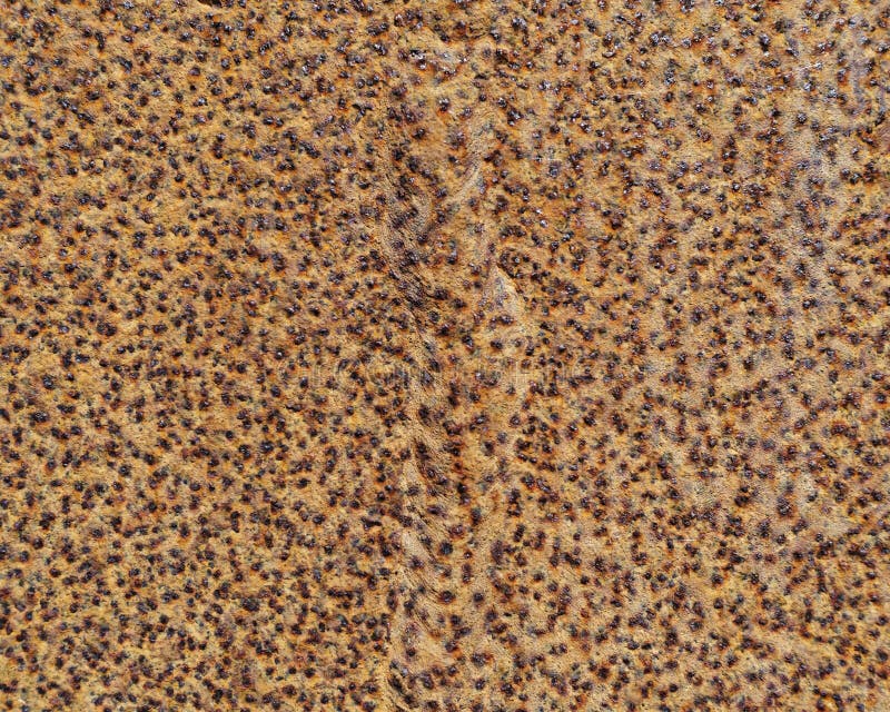 Rusting surface texture stock photo. Image of abstract - 231790452