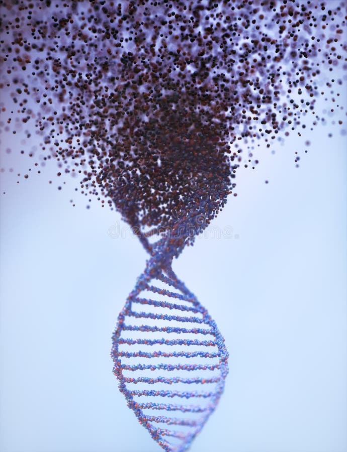 Oxidative DNA Damage Genetic Disorder Molecular Structure Stock ...