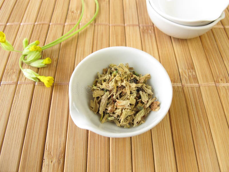 Oxlip Flowers, Primulae Flos Stock Photo - Image of dried, herbalism ...