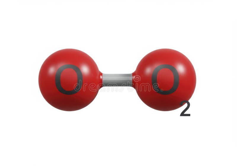 Oxygen Molecule Illustration Representing Chemical Structure Stock ...