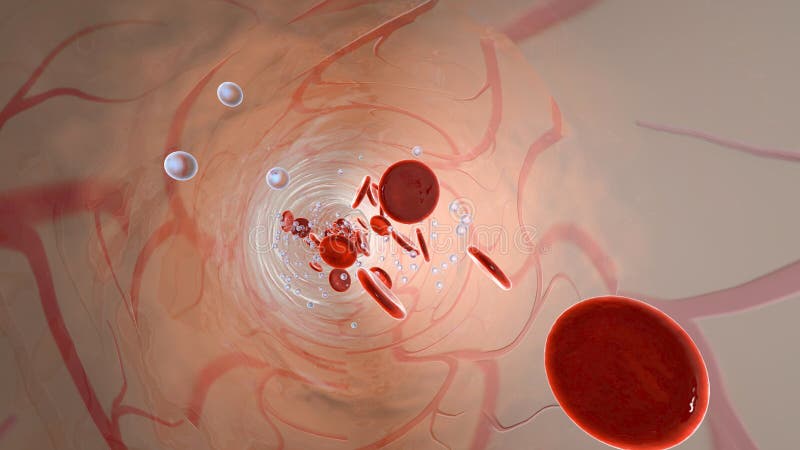 Oxygen Molecules and Erythrocytes Floating in the Blood Stream Stock ...