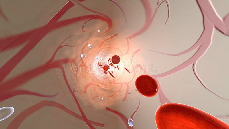 Oxygen Molecules and Erythrocytes Floating in the Blood Stream Stock ...