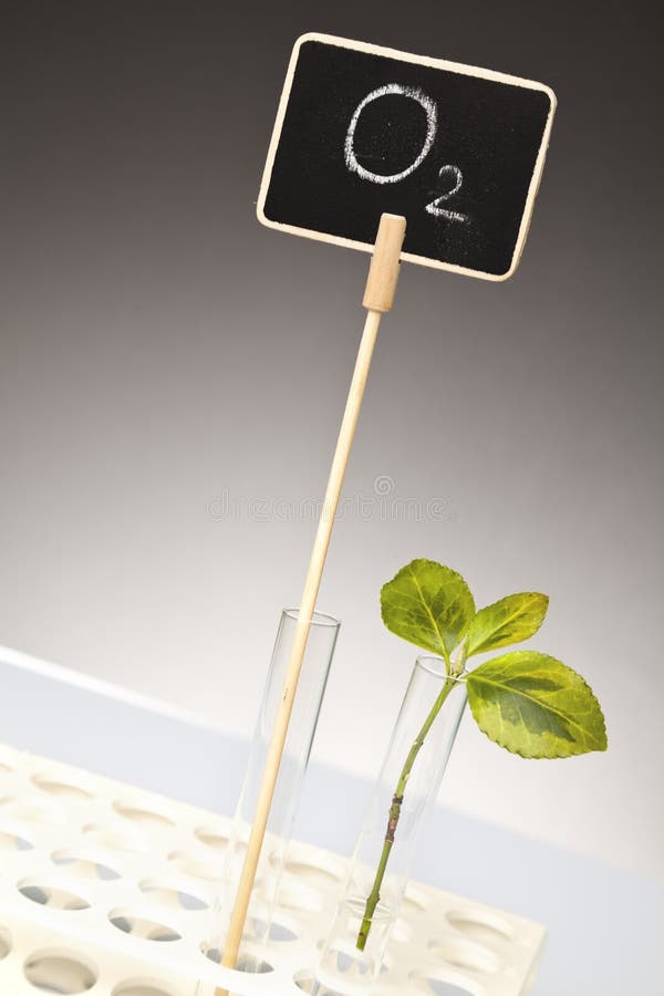 Oxygen stock image. Image of liquid, molecular, molecule - 30873525