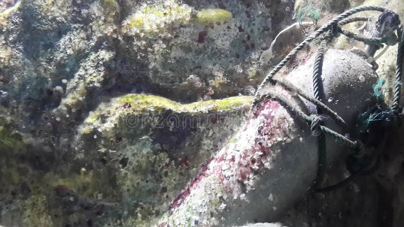 Oxygen Tank Under the Ocean Stock Photo - Image of fish, aqua: 53405048