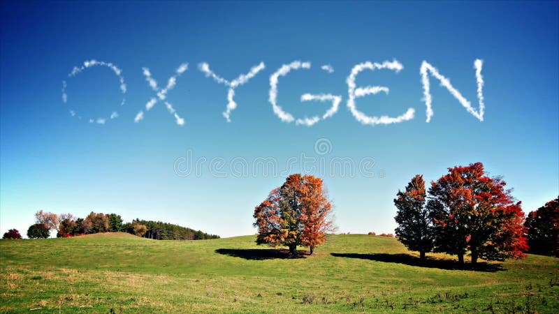 Oxygen Stock Footage & Videos - 30,432 Stock Videos