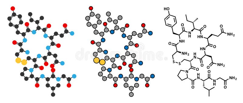 Oxytocin, Oxt, Peptide Hormone And Neuropeptide Molecule. Structural ...