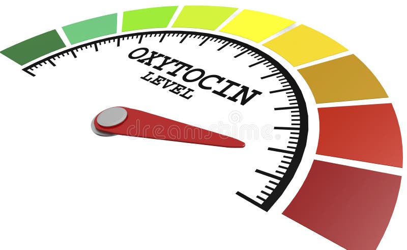 Oxytocin Level Measuring Scale with Color Indicator Stock Illustration ...