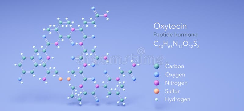 Oxytocin Molecule, Molecular Structures, Peptide Hormone, 3d Model ...
