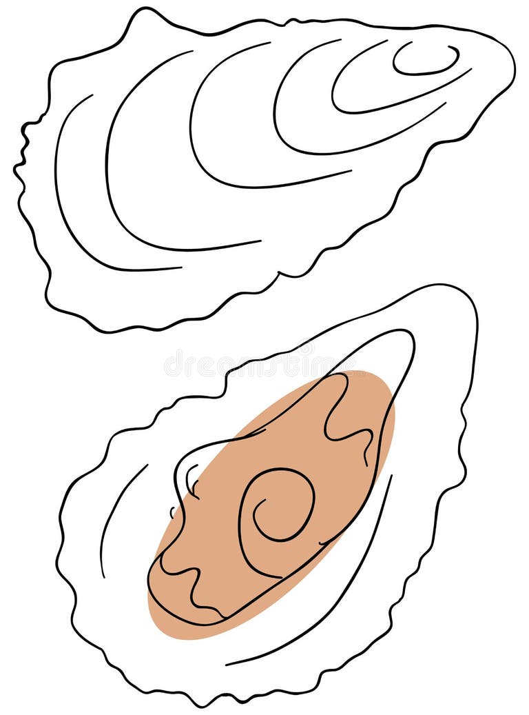Outline Oysters Stock Illustrations – 352 Outline Oysters Stock ...