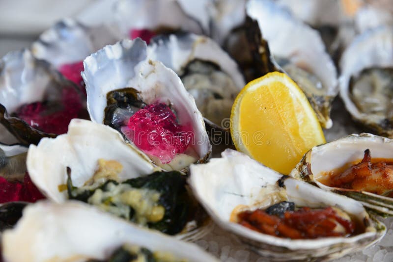 Oyster stock image. Image of closeup, lunch, cold, food - 85491615