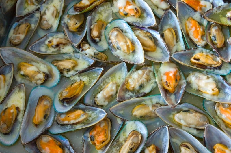 Greenshell mussels stock photo. Image of zealand, fishing - 13587134
