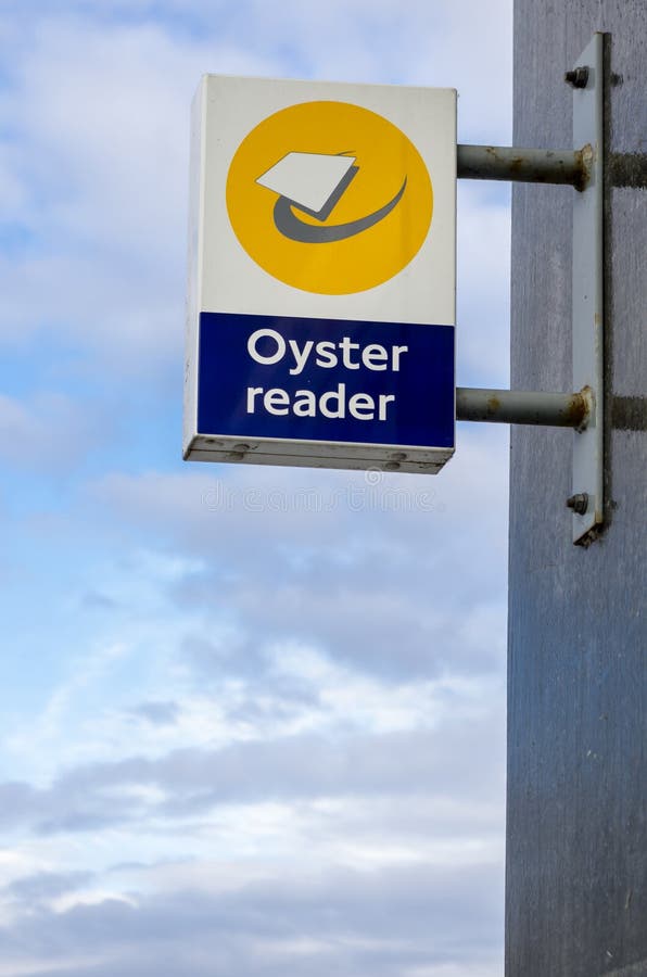 Oyster reader editorial stock photo. Image of mass, field - 43336818