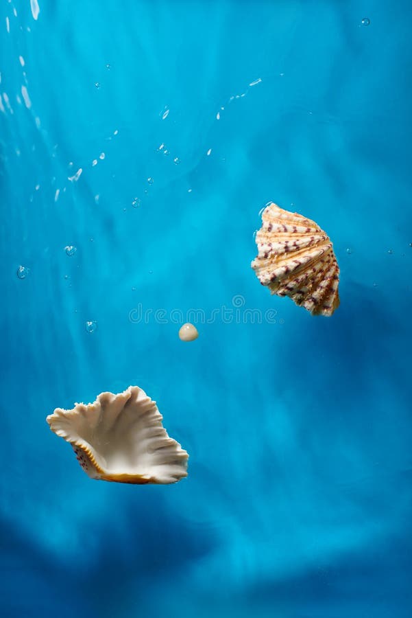 Oyster Seashell and Pearl in Bright Blue Ocean Water Stock Image ...