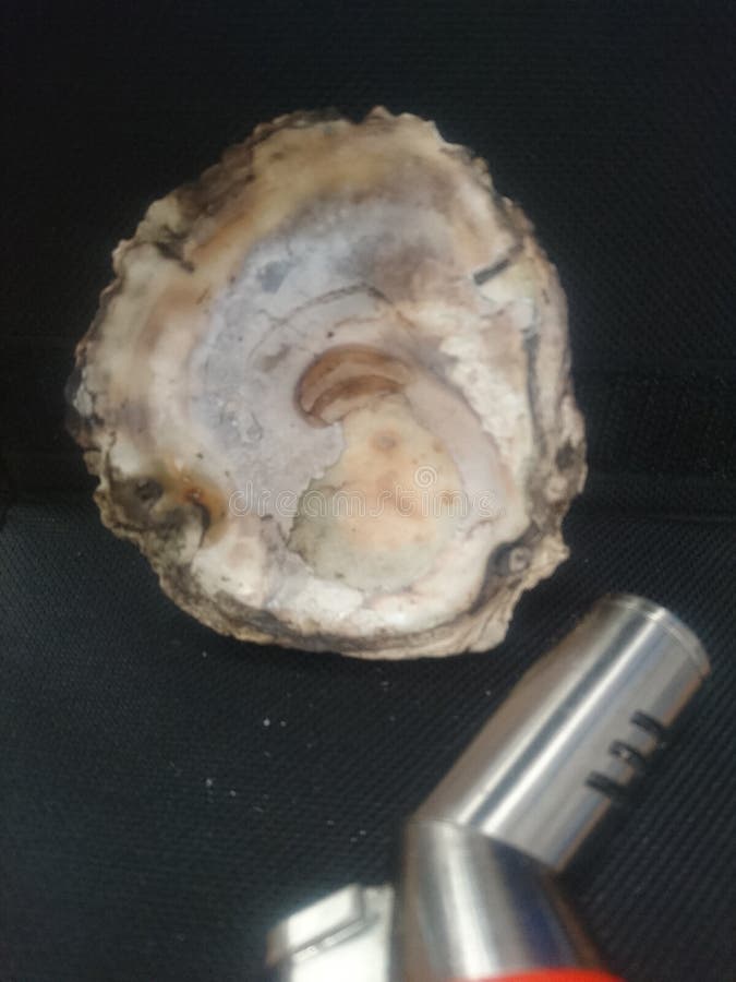 Oyster Shell Craft Burning Oyster with a Blow Torch Stock Photo - Image of boat, burning: 281925144