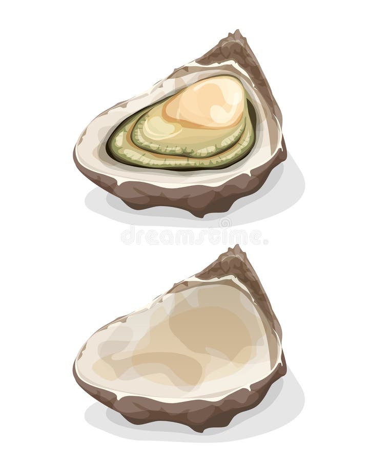 Oyster Stock Illustrations – 18,701 Oyster Stock Illustrations, Vectors ...