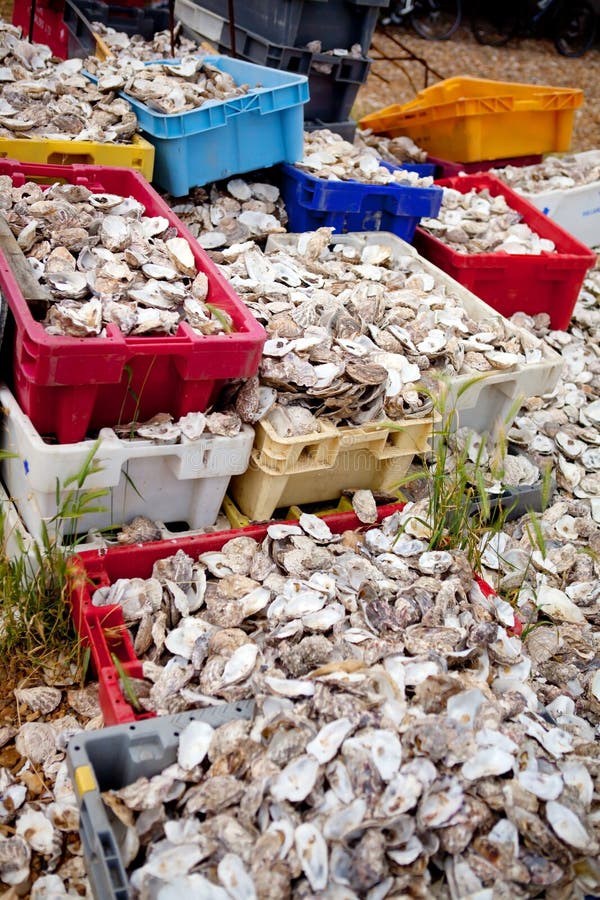 Oyster Shells Crates Stock Photos - Free & Royalty-Free Stock Photos ...