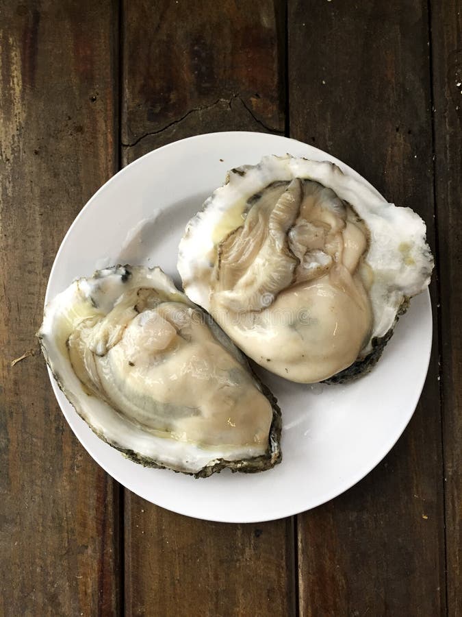 Oyster shell stock photo. Image of oyster, shell, food - 58496800